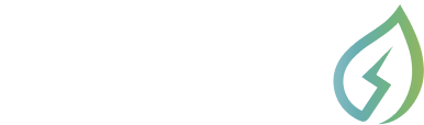 Our businesses